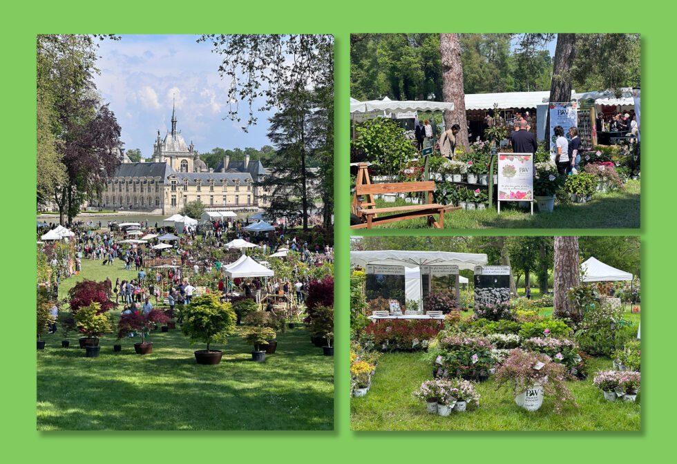 Valkplant and Proven Winners® at the Journées des Plantes in Chantilly ...